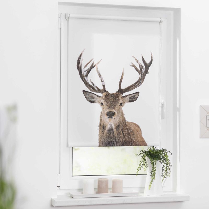 Rollos mit Motiv online kaufen | Lichtblick-Shop